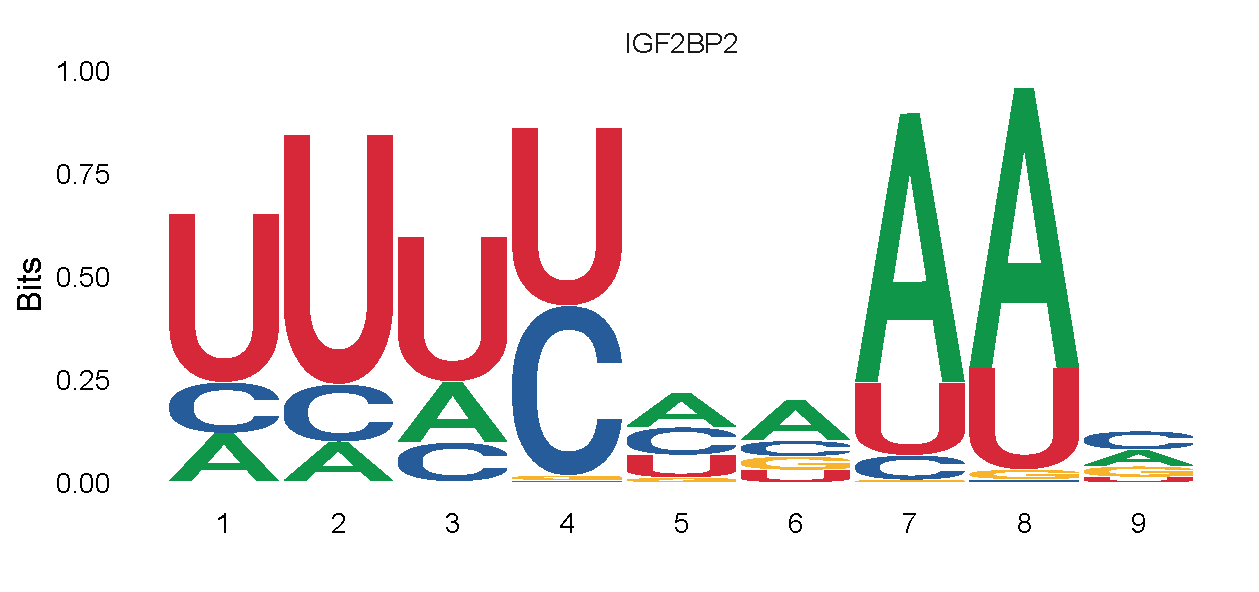 Circrna Rbp Site
